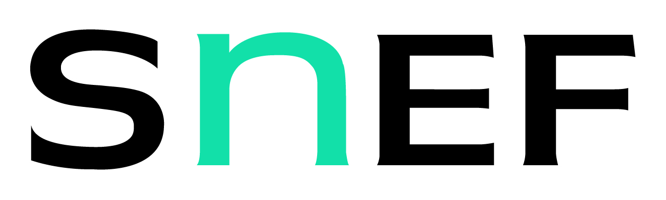 Snef - Un groupe indépendant tourné vers l'avenir